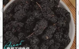 桑葚干的功效与作用_桑葚干一天吃多少合适