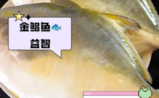 金鲳鱼营养价值高吗_金鲳鱼的功效与作用 金鲳鱼营养价值高吗_金鲳鱼的功效与作用