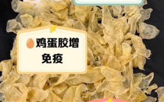 鸡蛋胶的做法大全_鸡蛋胶怎么做好吃