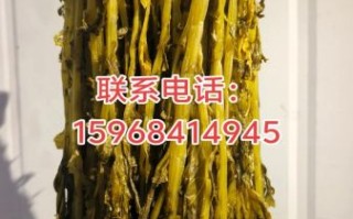 腌雪里蕻怎么腌_雪里蕻腌制方法