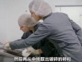 鱼子酱怎么制作_鱼子酱制作全过程