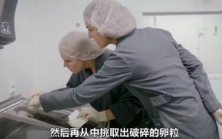 鱼子酱怎么制作_鱼子酱制作全过程