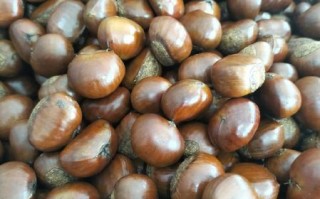 糖炒板栗多少钱一斤_2024最新价格行情