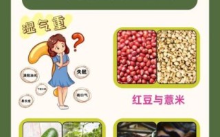 如何去除体内湿气_湿气重吃什么最有效