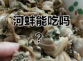 河蚌寄生虫图片_河蚌寄生虫对人体有害吗