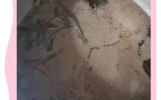 化疗后黄鳝汤一个星期喝几次_黄鳝汤多久喝一次合适