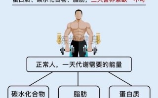 健身增肌餐食谱大全_如何搭配增肌饮食