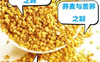 苦荞米和苦荞茶的区别_苦荞米和苦荞茶哪个更好 苦荞米和苦荞茶的区别_苦荞米和苦荞茶哪个更好