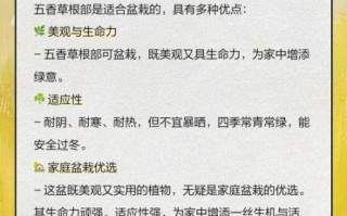 五香草是什么_五香草怎么吃最好