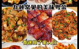 粤菜有哪些经典菜_粤菜有哪些特点