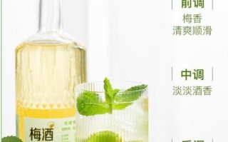 梅子酒多少度_梅子酒度数怎么选
