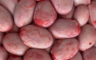 羊宝怎么处理_羊宝怎么清洗保存