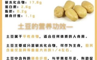 土豆的营养价值有哪些_土豆的功效与作用及禁忌