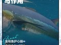 金枪鱼能生吃吗_生吃金枪鱼注意事项