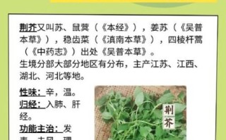 荆芥怎么吃_荆芥有什么功效
