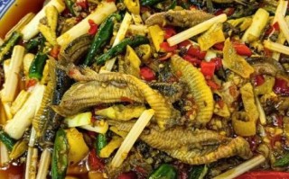 水煮泥鳅怎么做好吃_水煮泥鳅的家常做法