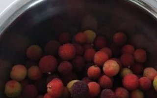 杨梅怎么吃比较好_杨梅怎么洗才干净