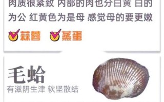 贝类海鲜怎么做_贝类海鲜怎么清洗才干净
