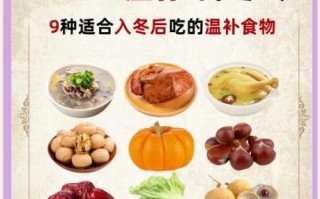 立冬吃什么养生_立冬后如何进补
