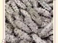 干海参发霉鉴别_如何辨别发霉干海参