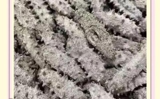 干海参发霉鉴别_如何辨别发霉干海参