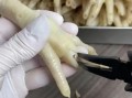 鸡爪怎么脱骨_鸡爪脱骨最快的方法