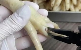 鸡爪怎么脱骨_鸡爪脱骨最快的方法
