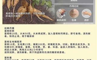 葛根是什么植物的根_葛根的功效与作用