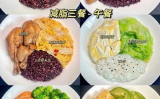 简单减肥午餐食谱大全_怎么做才好吃