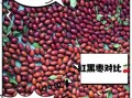 红枣和黑枣的区别_哪个补血效果更好