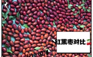 红枣和黑枣的区别_哪个补血效果更好