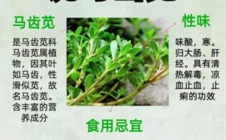 马齿苋的功效与作用_马齿苋怎么吃最好
