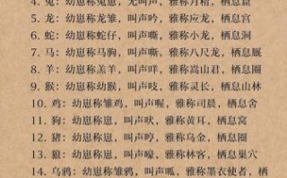 动物大全名字有哪些_动物大全名字怎么取