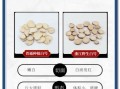 白芍药材图片_如何鉴别真假白芍