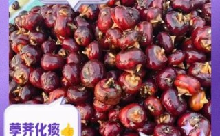 荸荠的功效与作用_孕妇可以吃荸荠吗 荸荠的功效与作用_孕妇可以吃荸荠吗