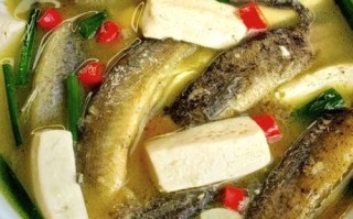 泥鳅豆腐汤怎么做不腥_泥鳅豆腐汤的做法窍门