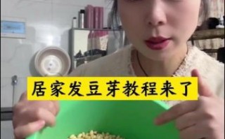 家庭自制黄豆芽的方法_怎么让黄豆芽又粗又嫩