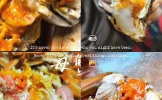 蟹黄是螃蟹的什么部位_蟹黄和蟹膏的区别