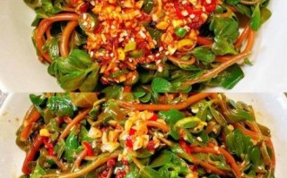 凉拌野菜马齿苋怎么做_马齿苋凉拌需要焯水吗