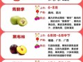 中国十大顶级水果有哪些_为什么价格这么高