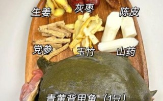 甲鱼的功效与作用及食用方法_甲鱼怎么炖最补