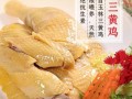 三黄鸡清炖怎么炖才嫩_清炖三黄鸡需要焯水吗