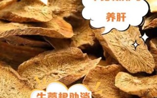 女人吃牛蒡有什么好处_牛蒡对女性的功效与作用