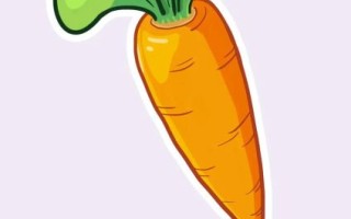 萝卜简笔画怎么画_萝卜涂色教程