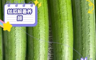 处暑吃什么蔬菜_处暑养生蔬菜推荐