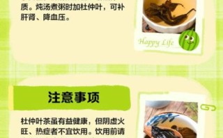 杜仲叶的功效与作用_杜仲叶能治什么病