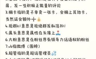 饭圈什么意思_饭圈文化如何影响年轻人