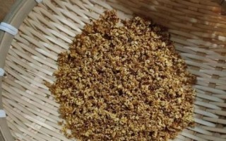 鲜桂花怎么做成干桂花_家庭自制干桂花方法