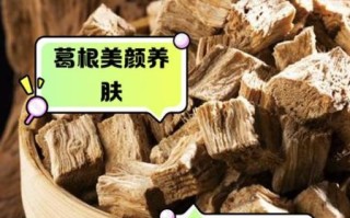 葛根泡水喝治什么病_葛根泡水有哪些功效
