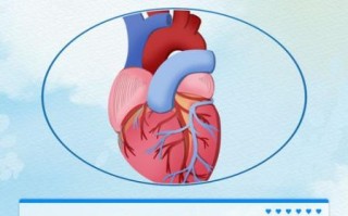 心肌缺血会自愈吗_心肌缺血能自行恢复吗